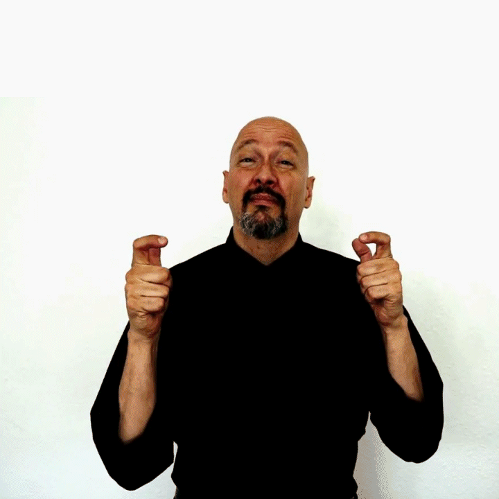 big American Sign Language ASL big American Sign Language ASL
