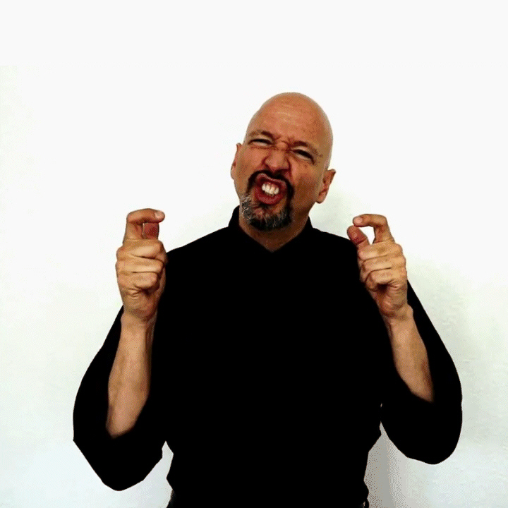 big American Sign Language ASL big American Sign Language ASL